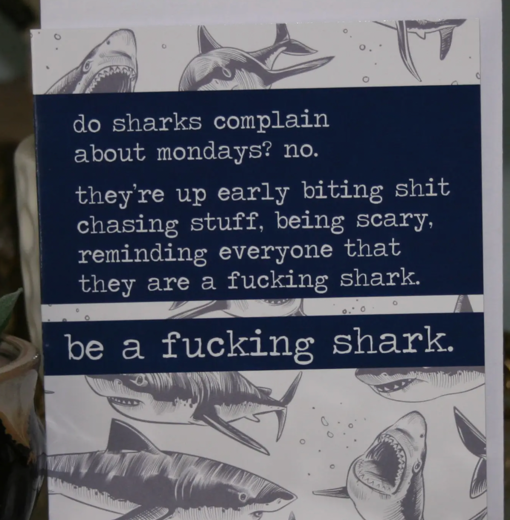 Be A Shark Greeting Card – The Silo Boutique